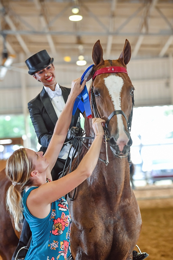 2023 Summer Fun Horse Show - Show Proofs - 2023 Show Proofs - Natasha ...
