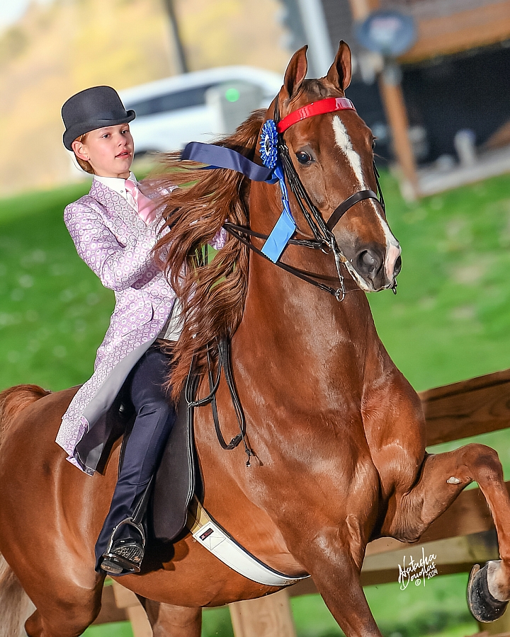 2024 KVHA Spring Horse Show - Friday April 12 - Evening - Show Proofs ...